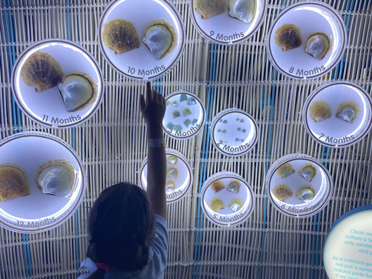 Best IB School in the Philippines: The Beacon School