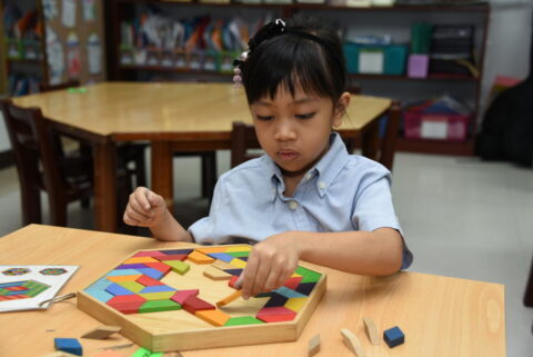 Subject Areas | Primary Schooling | Primary Level Education